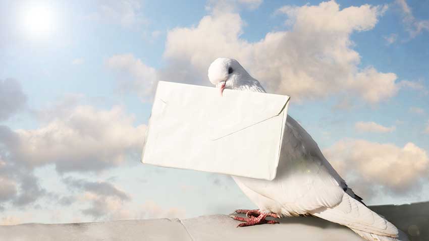 What Can Travel Around The World While Staying In a Corner? Riddle ...